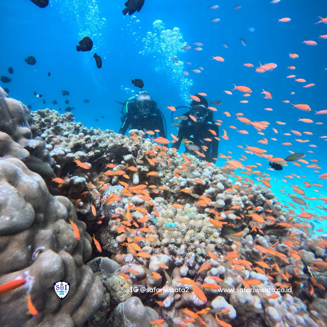 Pakej Percutian ke Indonesia, Melancong ke Indonesia - Pakej Percutian ...